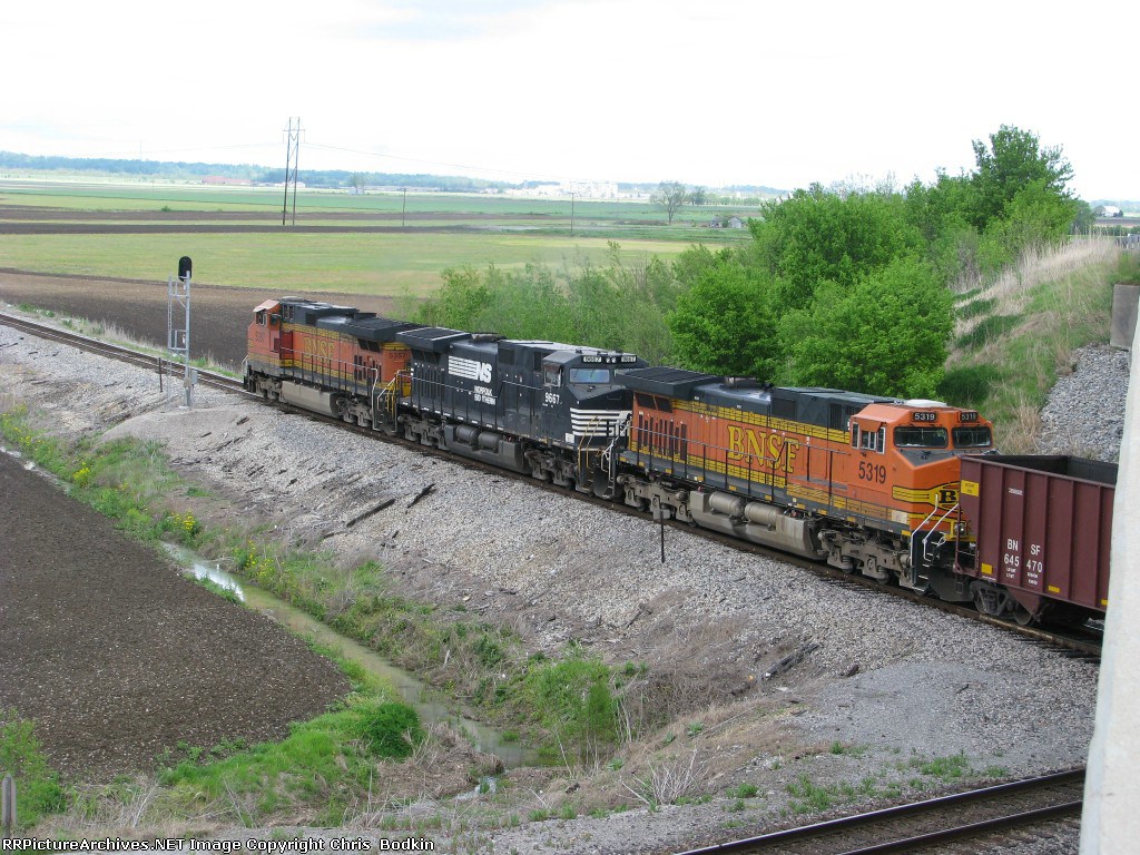 BNSF 5319
